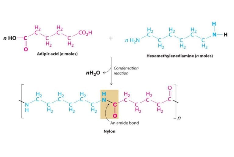 Nhựa PA 11 (Nylon 11) là gì? Đặc điểm và ứng dụng - Công ty Gia công ...